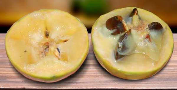 Você Conhece a Fruta Guapeva? Veja Propriedades e Benefícios!