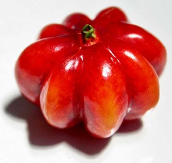 Fruta Pitanga: Nutrientes, Benefícios e Dicas de Cultivo